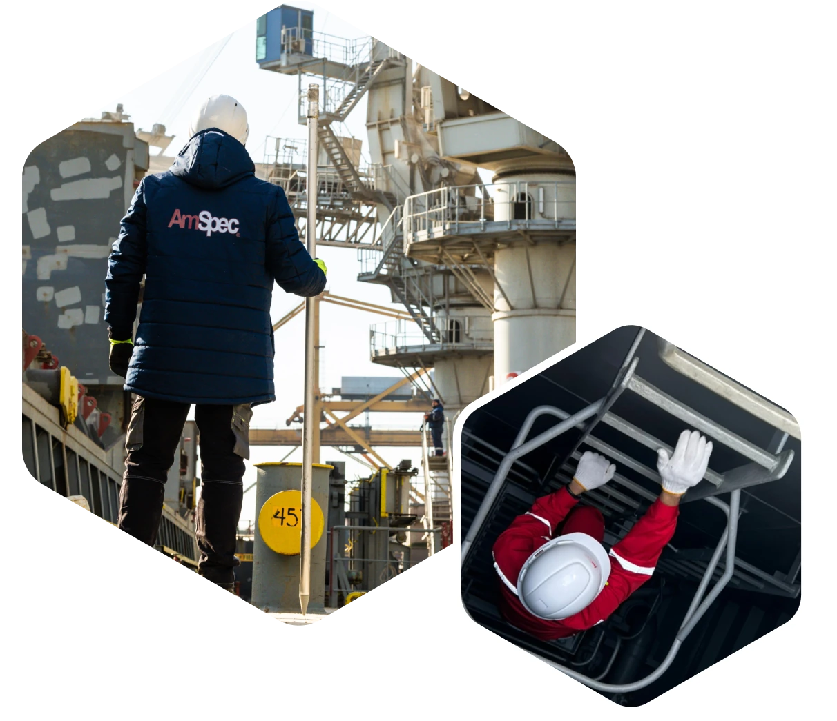 Inspection Services From Trained Experts | AmSpec