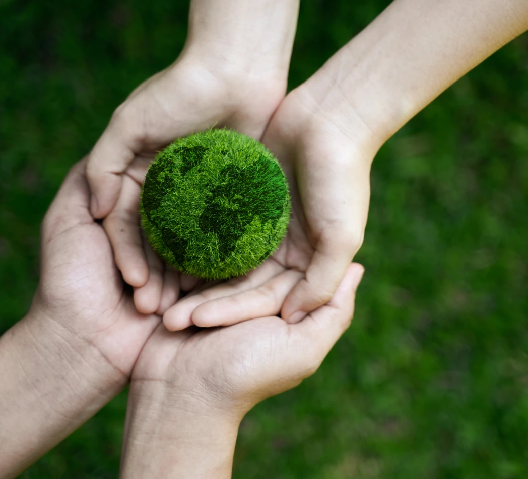 Sustainability Certification Programs | AmSpec